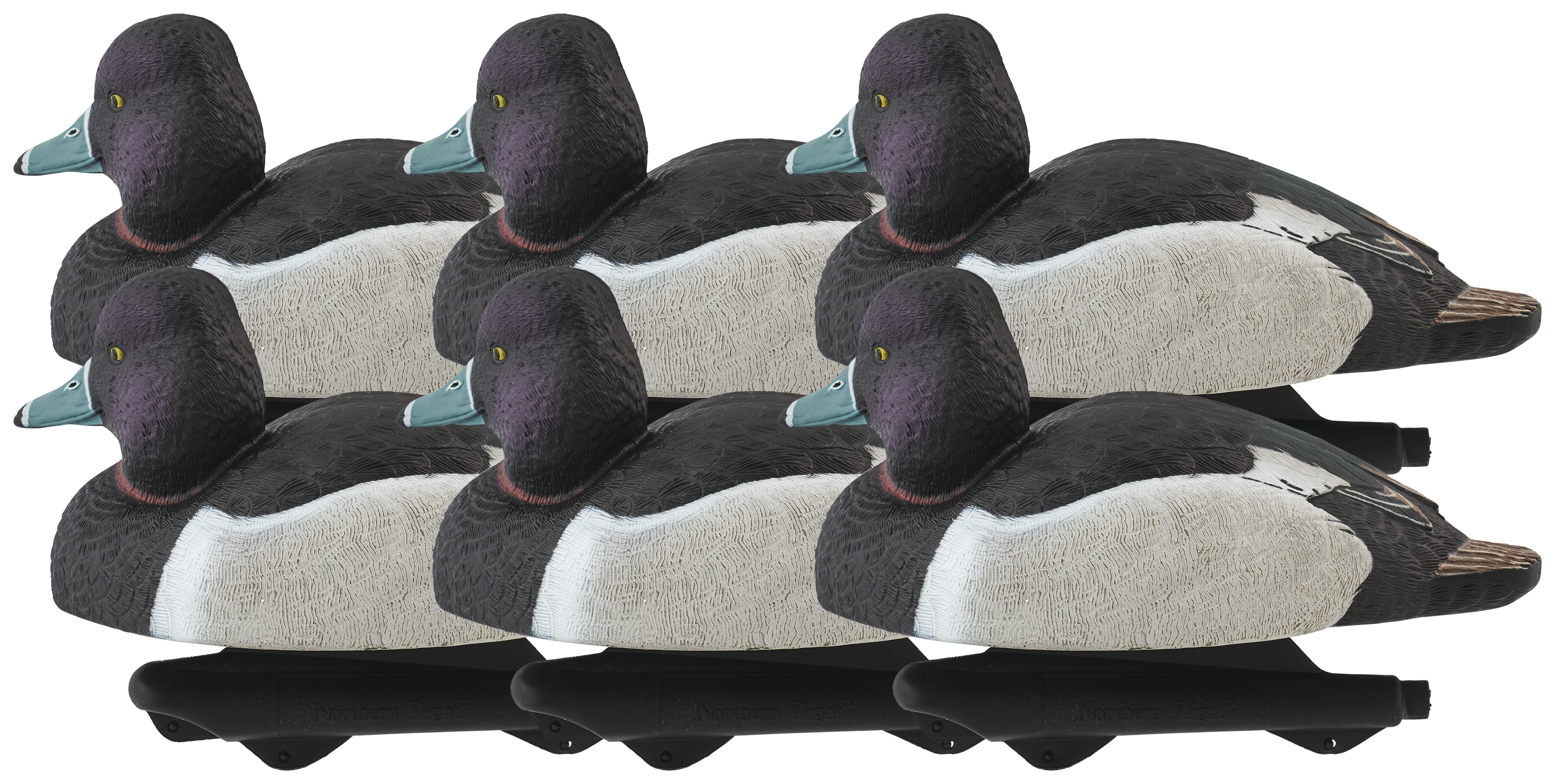 Northern Flight Pro Series Ringneck Duck Decoy 6-Pack | Cabela's